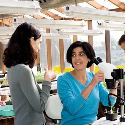Laureates of the L’Oréal-UNESCO For Women in Science International ...